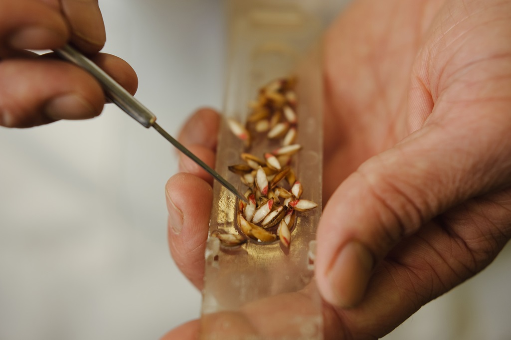 Crop drying with Calor LPG