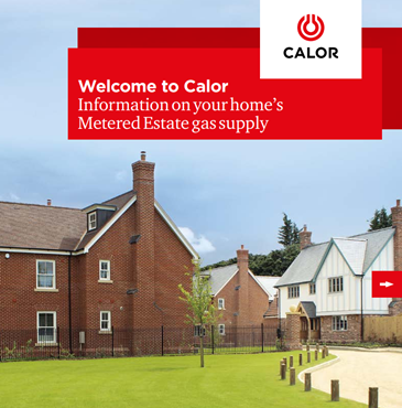 Reports and Downloads