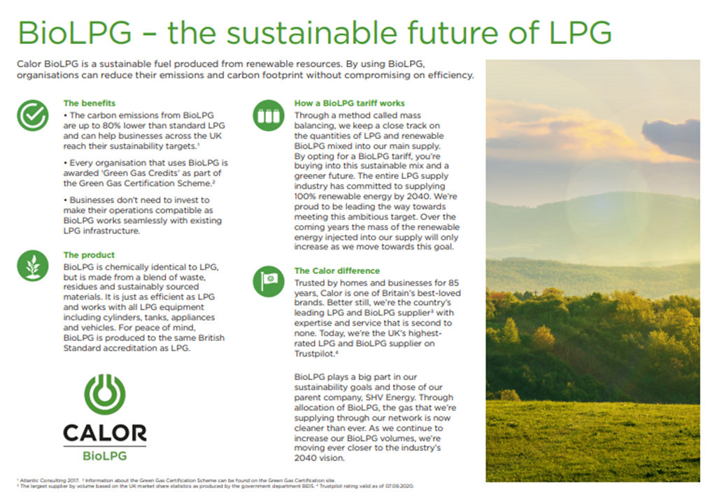 Reports and Downloads