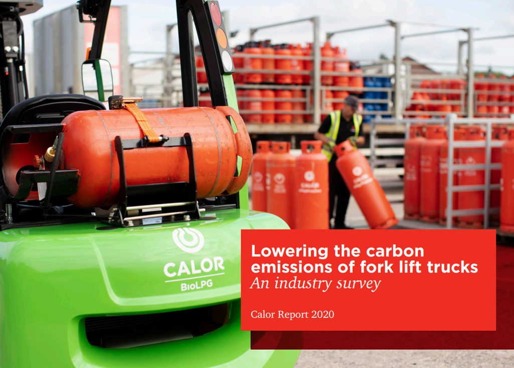 Reports and Downloads