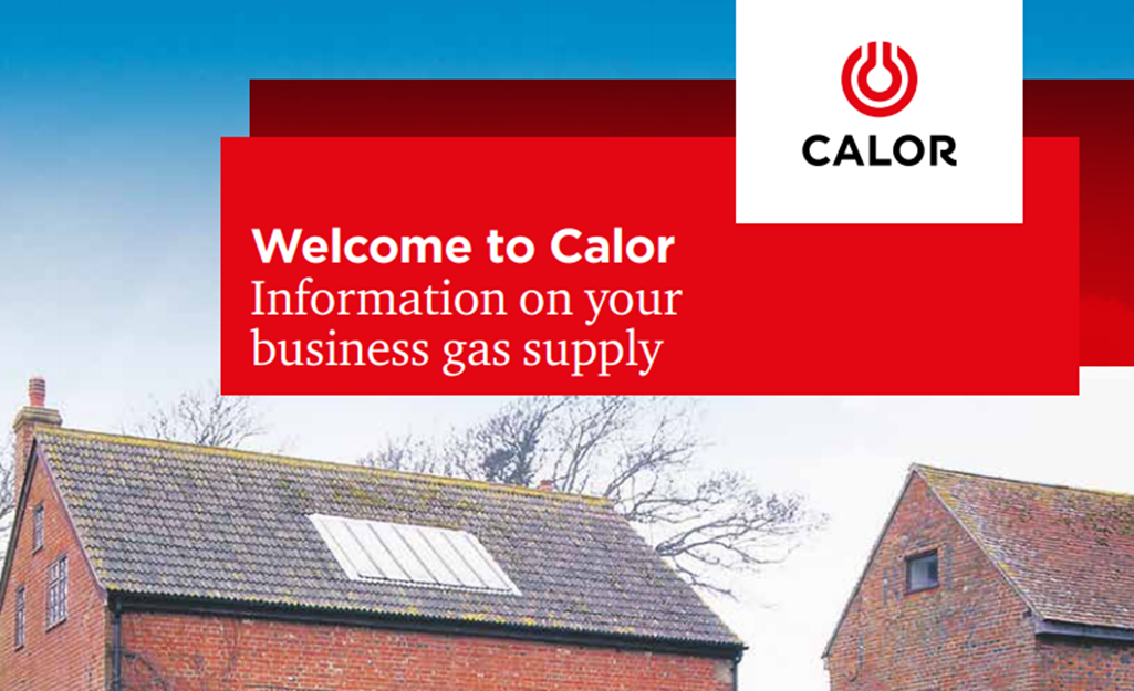 Reports and Downloads