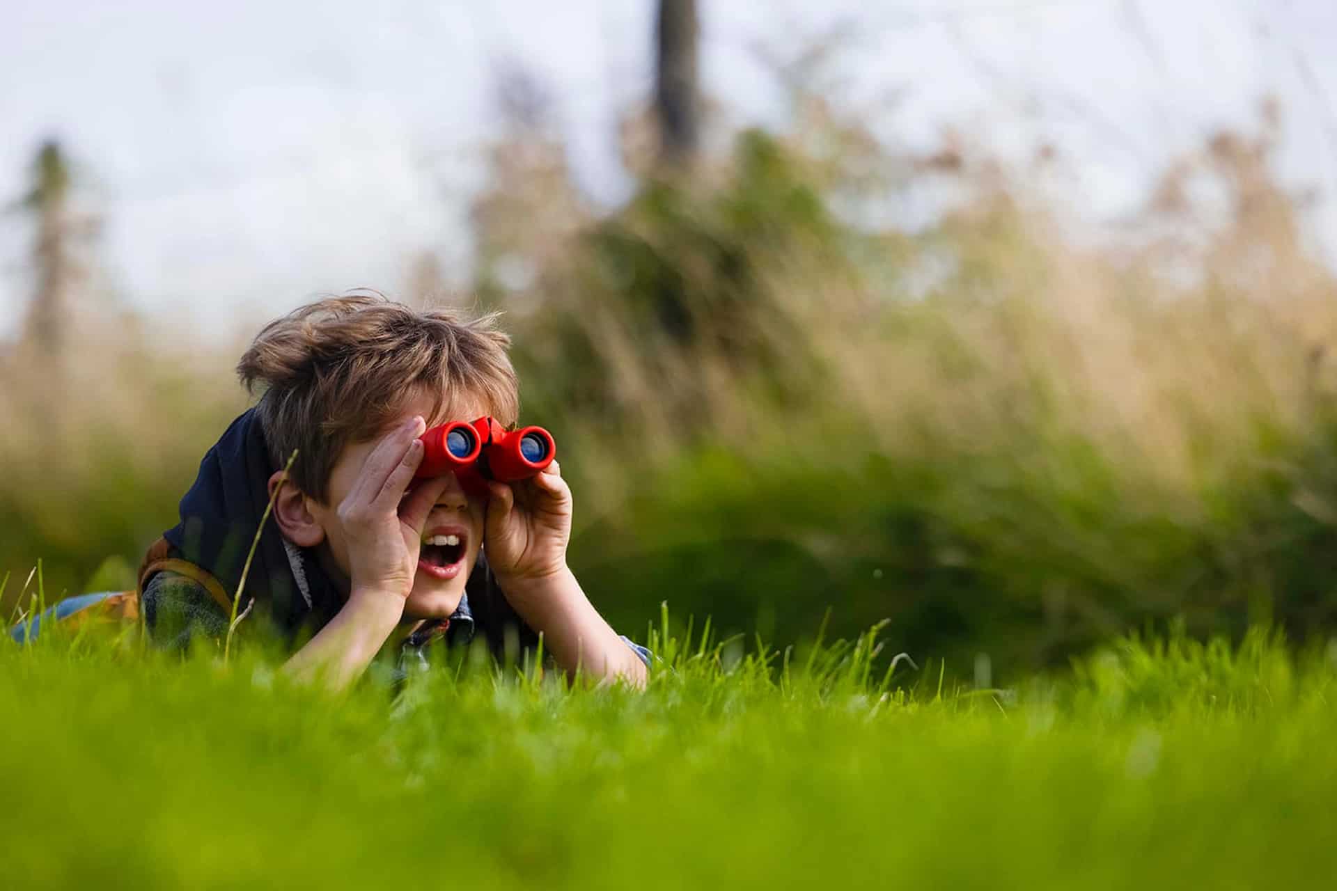 Switch From Oil to LPG or BioLPG | Calor